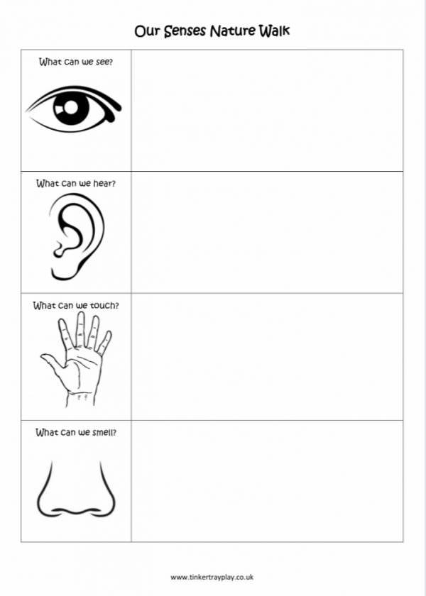 5 Senses Nature Walk Worksheet