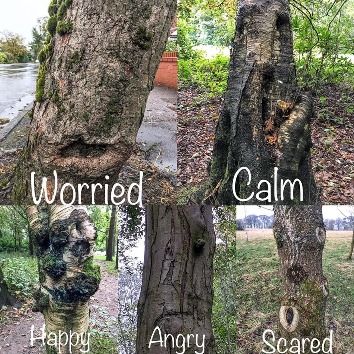 Mamasden Tree Emotions | PDF Download - Tinker Tray Play