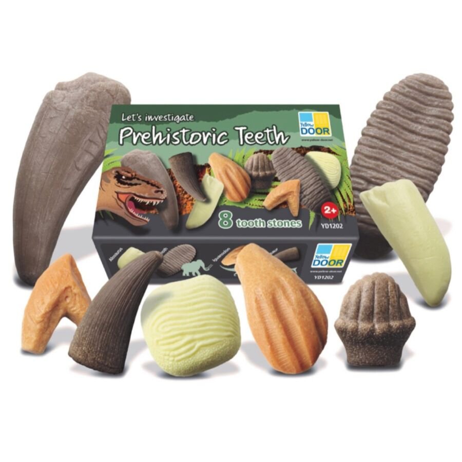 Yellow Door Let’s Investigate | Prehistoric Teeth - Tinker Tray Play