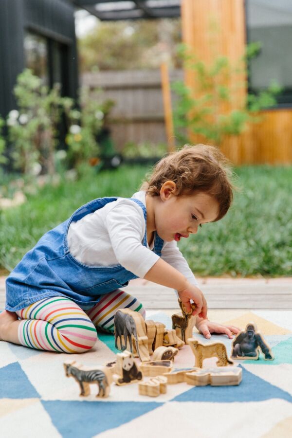 Freckled Frog Wild Animals - Tinker Tray Play